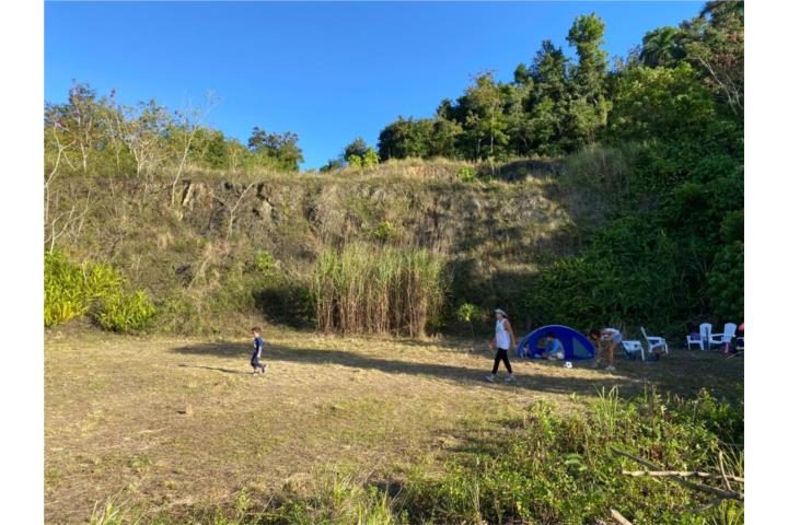 Ciudad Jardin Sur Puerto Rico, Venta Bienes Raíces Caguas Puerto Rico ...
