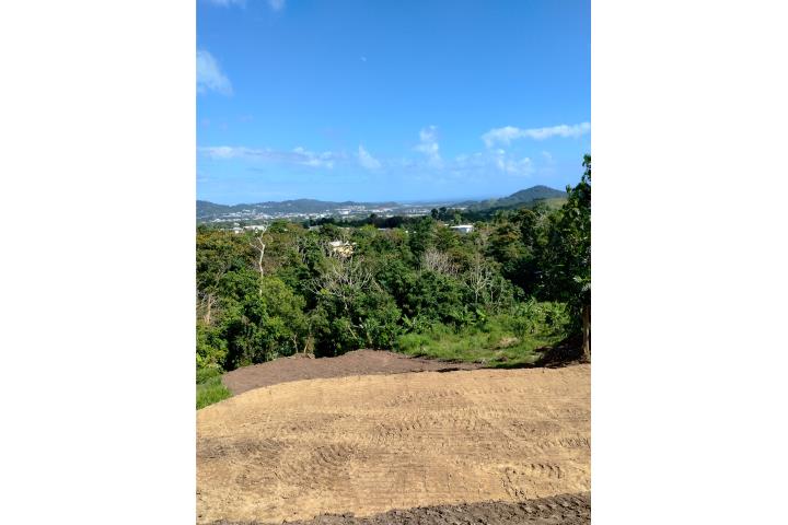 Tejas Puerto Rico, Venta Bienes Raíces Humacao Puerto Rico, Real Estate ...