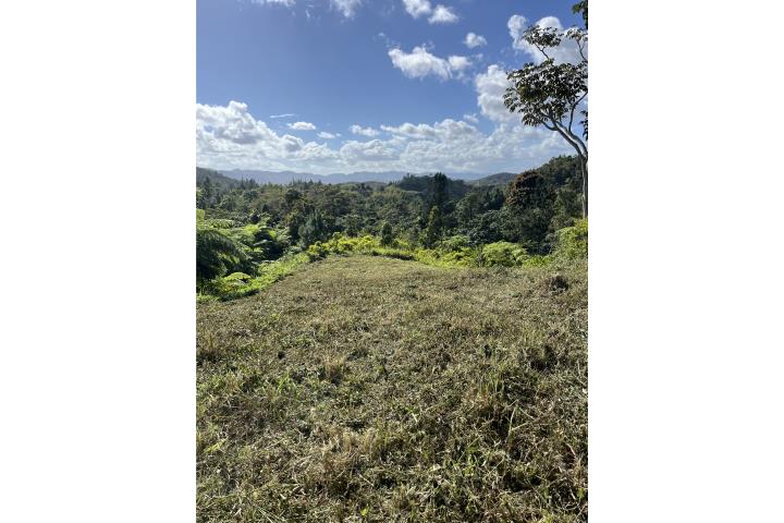 Guavate Puerto Rico, Venta Bienes Raíces Cayey Puerto Rico, Real Estate ...