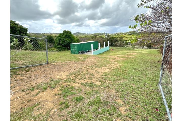 Urbanizacion-Santa Maria Grazing Area, Vieques Puerto Rico