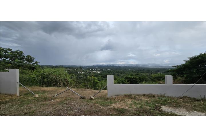 Franquez Puerto Rico, Venta Bienes Raíces Morovis Puerto Rico, Real ...