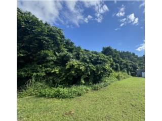 Prados Del Rio Encantado Puerto Rico, Venta Bienes Raíces Florida ...