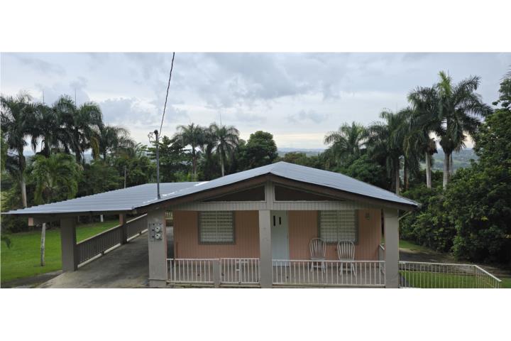 Robles Puerto Rico, Venta Bienes Raíces San Sebastián Puerto Rico, Real ...