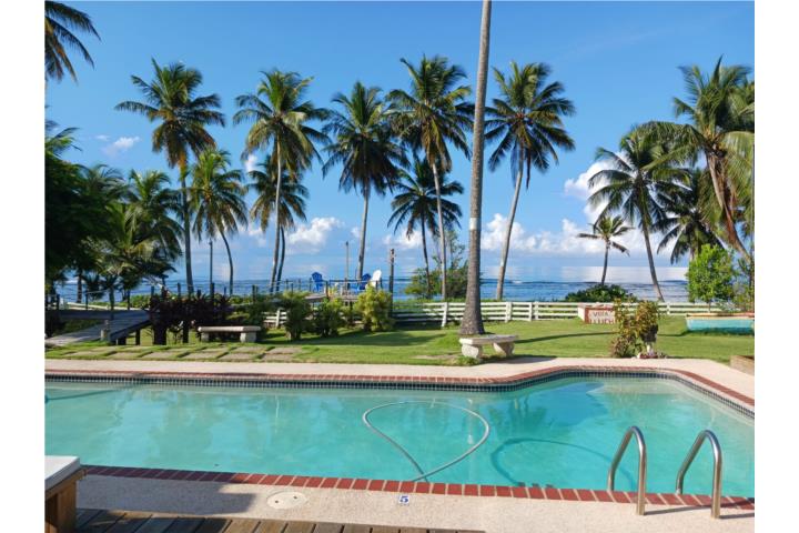 Guardarraya Puerto Rico, Venta Bienes Raíces Patillas Puerto Rico, Real ...