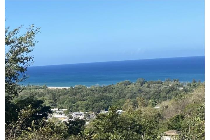 Victoria Puerto Rico, Venta Bienes Raíces Aguadilla Puerto Rico, Real ...