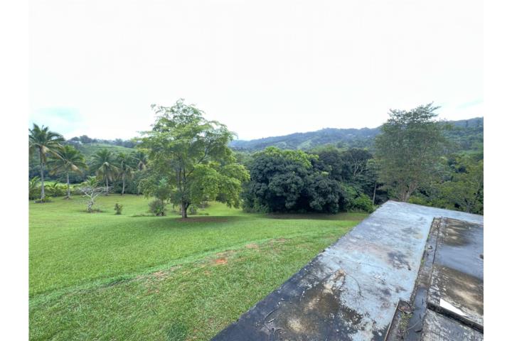 Padilla Puerto Rico, Venta Bienes Raíces Corozal Puerto Rico, Real ...