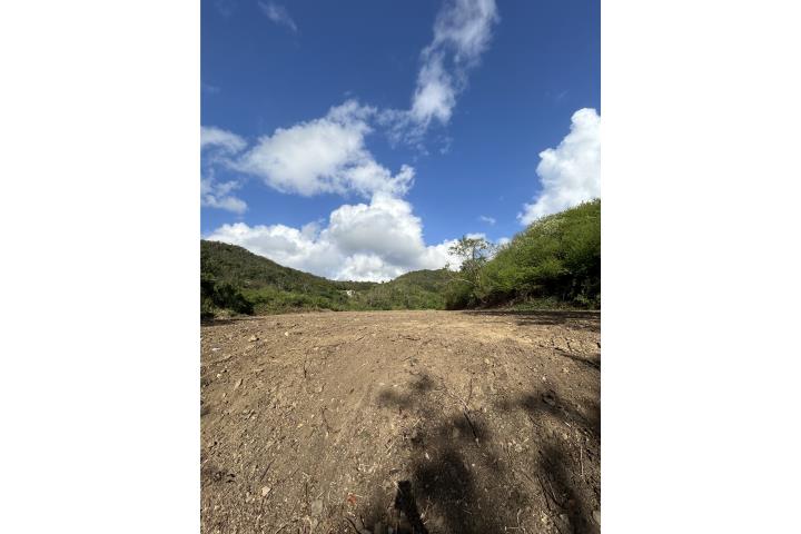 Quebrada Seca Puerto Rico, Venta Bienes Raíces Ceiba Puerto Rico, Real ...
