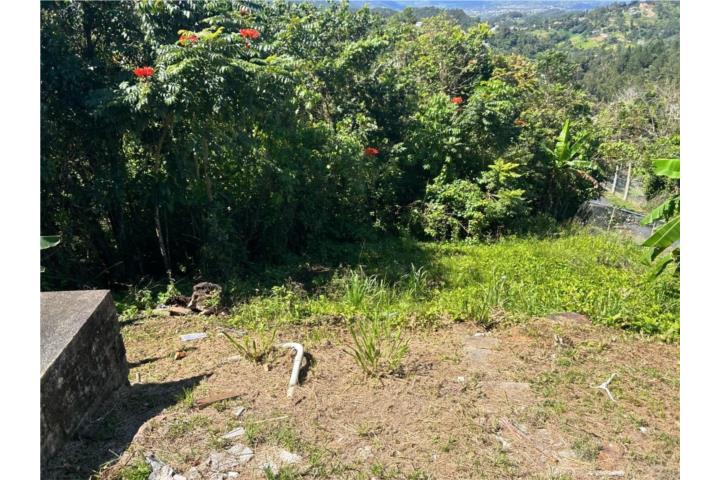 Guavate Puerto Rico, Venta Bienes Raíces Cayey Puerto Rico, Real Estate ...