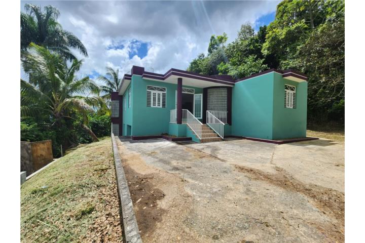 Rio Grande Puerto Rico, Venta Bienes Raíces Jayuya Puerto Rico, Real ...
