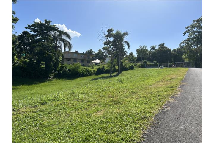 Robles Puerto Rico, Venta Bienes Raíces San Sebastián Puerto Rico, Real ...