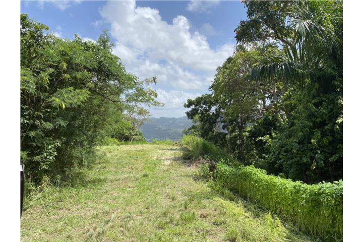 Quebrada Grande Puerto Rico, Venta Bienes Raíces Trujillo Alto Puerto ...
