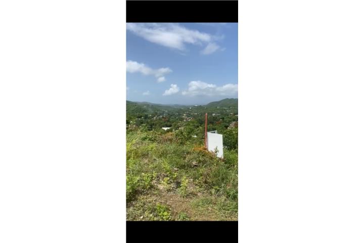 Parcelas Vazquez Puerto Rico, Venta Bienes Raíces Salinas Puerto Rico ...