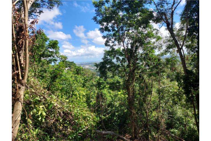 Santa Rosa Puerto Rico, Venta Bienes Raíces Guaynabo Puerto Rico, Real ...