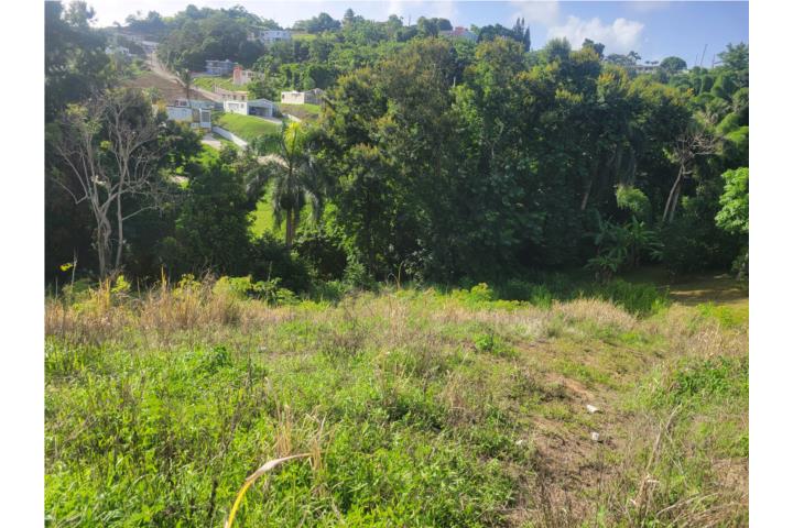 Rincon Puerto Rico, Bienes Raices Rincon Real Estate Cayey Puerto Rico