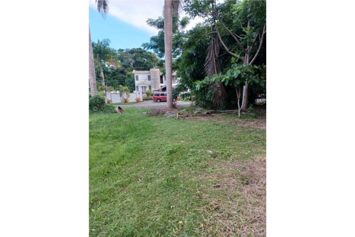 Colinas Del Yunque Puerto Rico, Venta Bienes Raíces Río Grande Puerto ...
