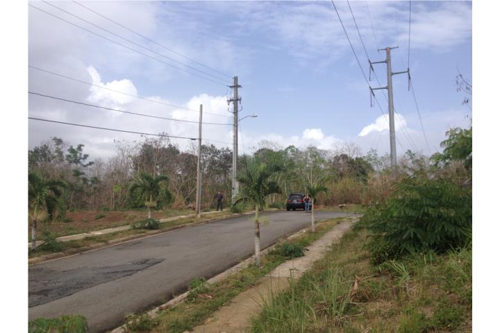 Quebrada Cruz Puerto Rico, Venta Bienes Raíces Toa Alta Puerto Rico ...