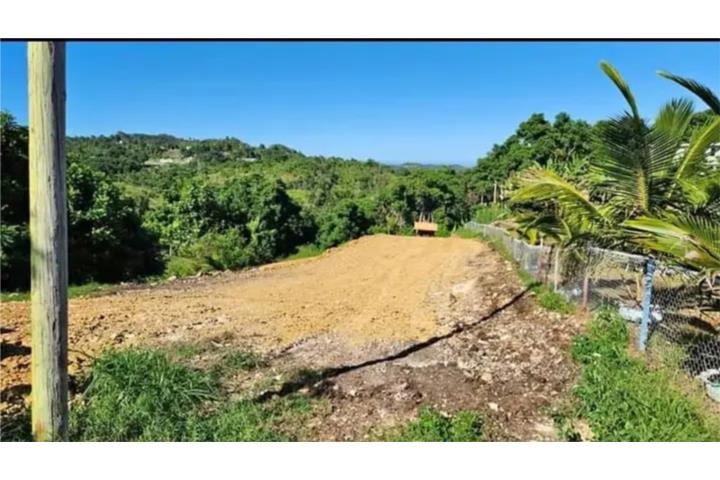 Quebrada Puerto Rico, Venta Bienes Raíces Camuy Puerto Rico, Real ...