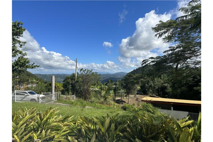 Robles Puerto Rico, Bienes Raices Robles Real Estate Aibonito Puerto Rico