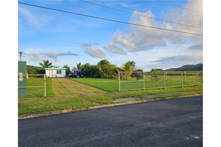 El Rio Puerto Rico, Venta Bienes Raíces Las Piedras Puerto Rico, Real ...