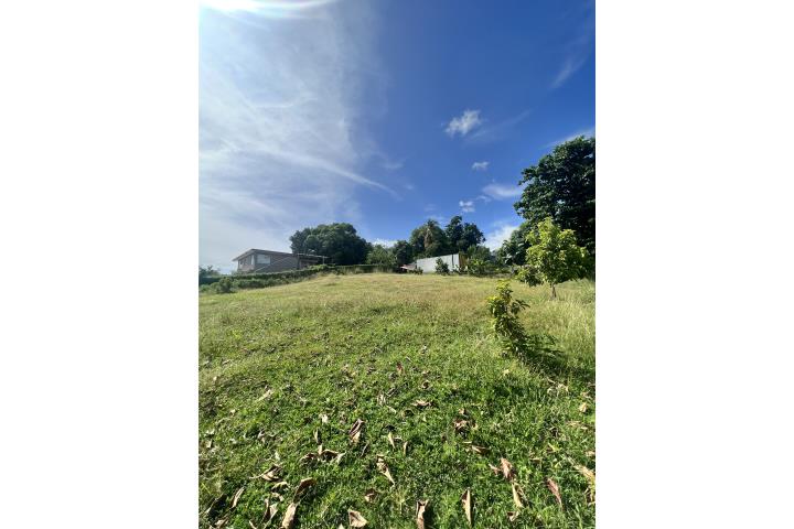 Joyuda Puerto Rico, Bienes Raices Joyuda Real Estate Cabo Rojo Puerto Rico