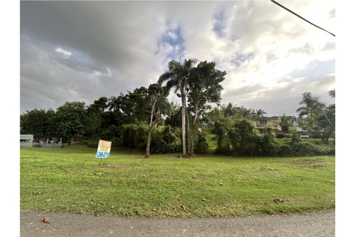 Robles Puerto Rico, Venta Bienes Raíces San Sebastián Puerto Rico, Real ...
