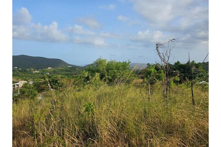 Susua Baja Puerto Rico, Venta Bienes Raíces Sabana Grande Puerto Rico ...