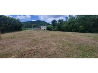 Pasto Viejo Puerto Rico, Venta Bienes Raíces Cayey Puerto Rico, Real ...