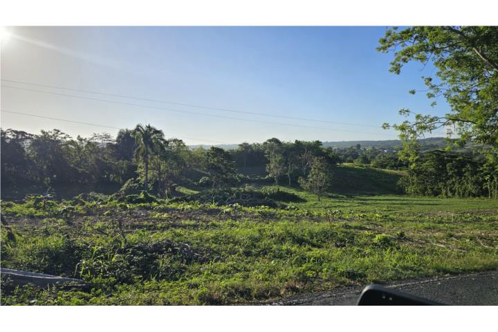 Robles Puerto Rico, Venta Bienes Raíces San Sebastián Puerto Rico, Real ...