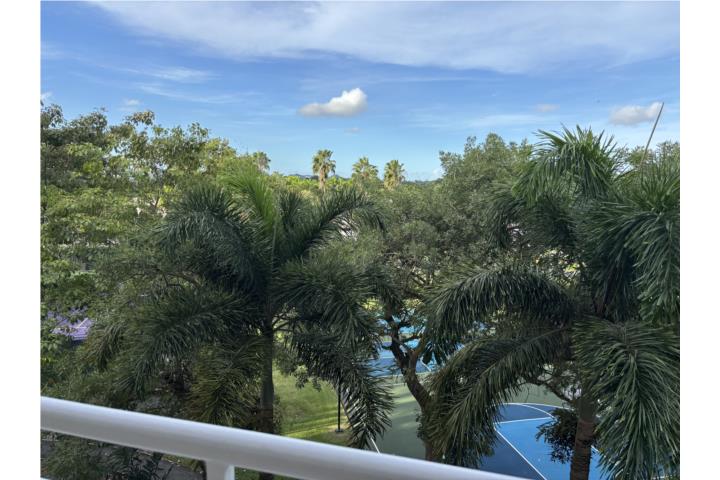 Murano Luxury Apartments Puerto Rico, Venta Bienes Raíces Guaynabo ...