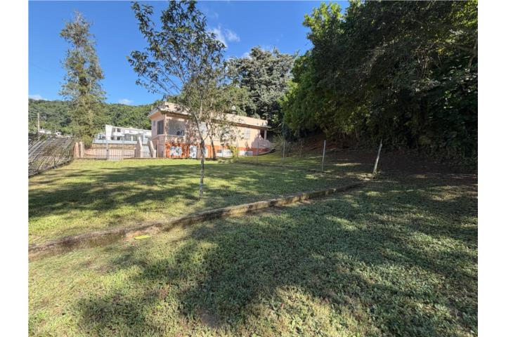 Salto Arriba Puerto Rico, Venta Bienes Raíces Utuado Puerto Rico, Real ...