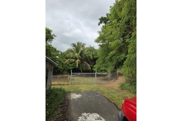 Candelero Arriba Puerto Rico, Venta Bienes Raíces Humacao - Palmas ...