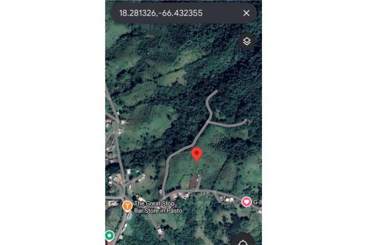 Pasto Puerto Rico, Venta Bienes Raíces Morovis Puerto Rico, Real Estate ...
