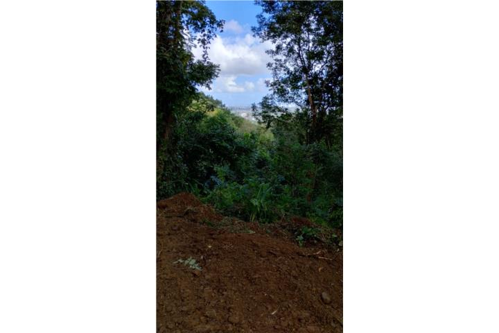 Santa Rosa Puerto Rico, Venta Bienes Raíces Guaynabo Puerto Rico, Real ...