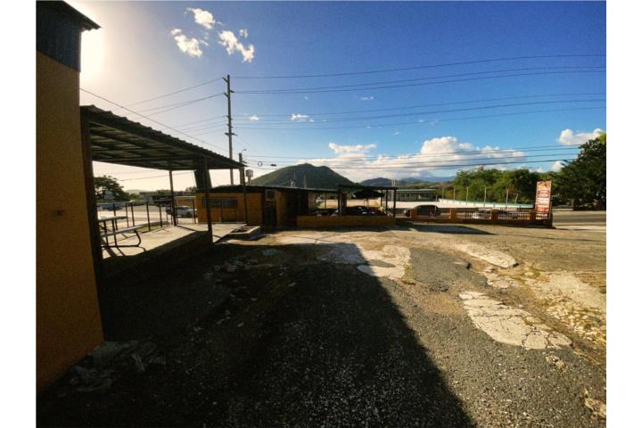 Useras Puerto Rico, Venta Bienes Raíces Santa Isabel Puerto Rico, Real ...