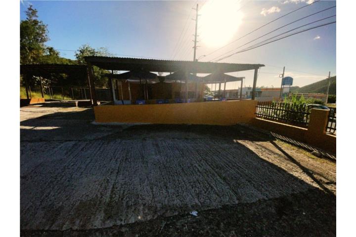 Useras Puerto Rico, Venta Bienes Raíces Santa Isabel Puerto Rico, Real ...