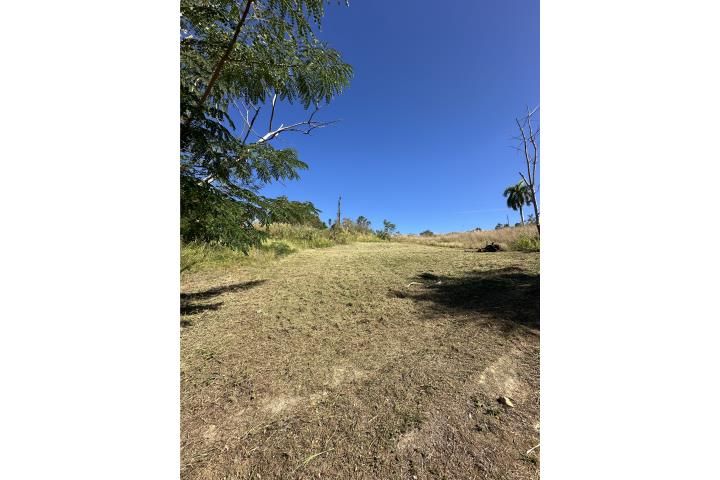 Las Palmas Puerto Rico, Venta Bienes Raíces Moca Puerto Rico, Real ...