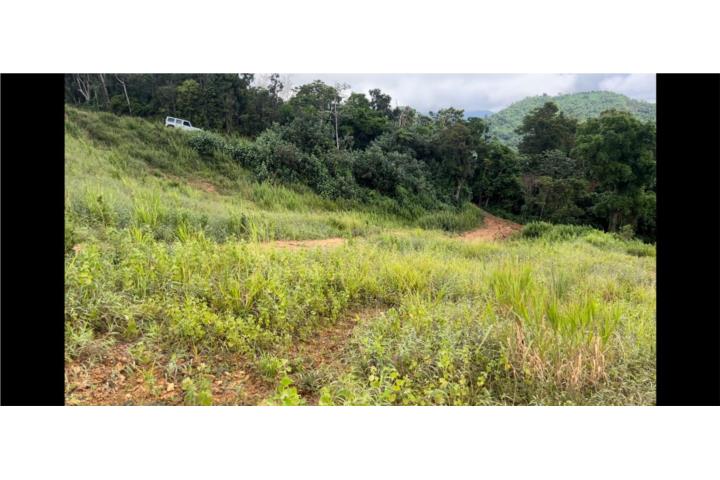 Villalba Arriba Puerto Rico, Bienes Raices Villalba Arriba Real Estate ...