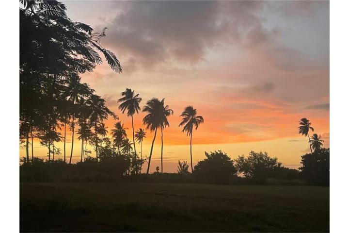 Cliff Puerto Rico, Bienes Raices Cliff Real Estate Isabela Puerto Rico