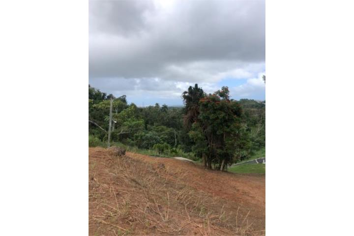 Estancias De Cupey Puerto Rico, Bienes Raices Estancias De Cupey Real ...