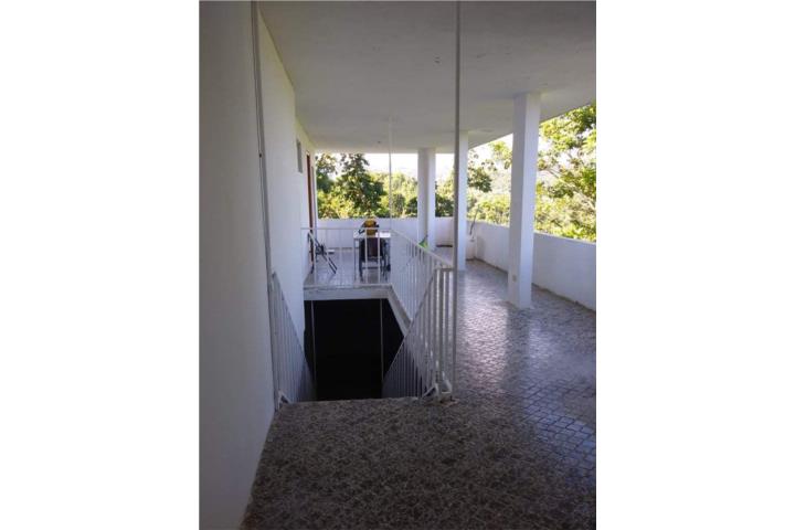 Cialitos Puerto Rico, Bienes Raices Cialitos Real Estate Ciales Puerto Rico