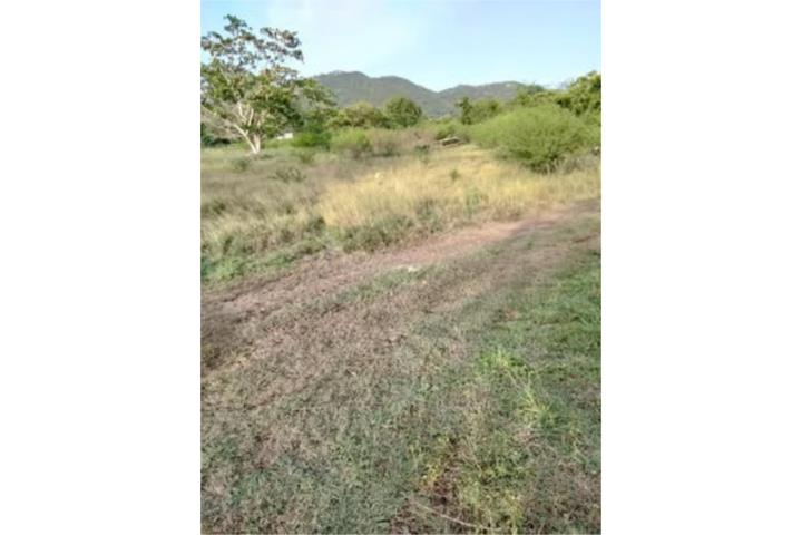 Susua Alta Puerto Rico, Bienes Raices Susua Alta Real Estate Yauco ...