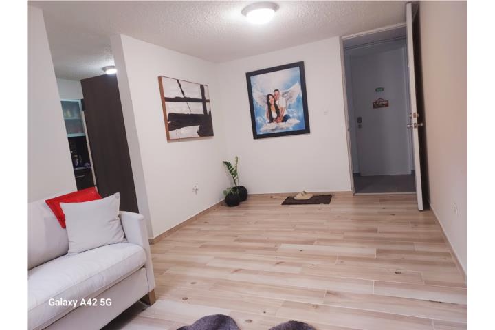 Monacillos Puerto Rico, Venta Bienes Raíces San Juan - Río Piedras ...