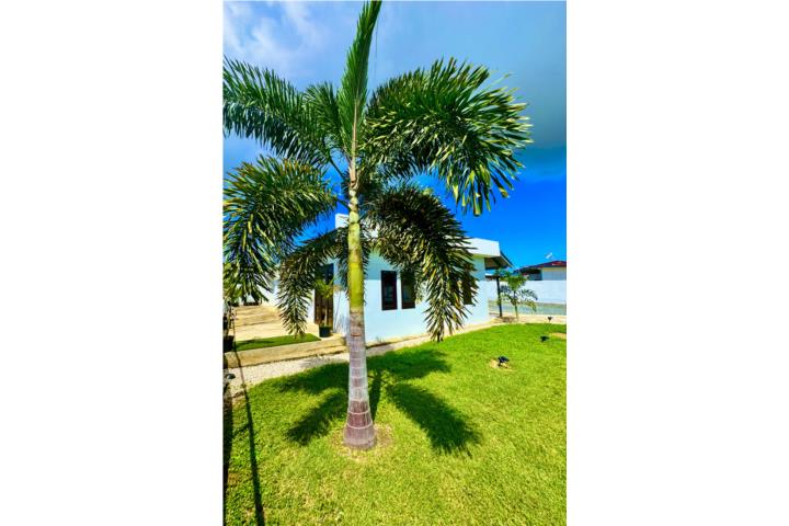 Combate Puerto Rico, Bienes Raices Combate Real Estate Cabo Rojo Puerto ...