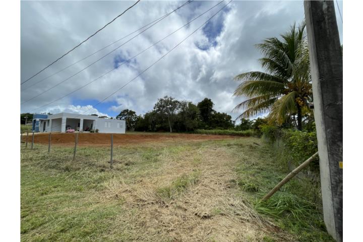 Barrio-Arenales Altos, Isabela Puerto Rico