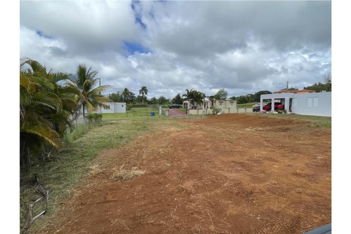 Barrio-Arenales, Isabela Puerto Rico