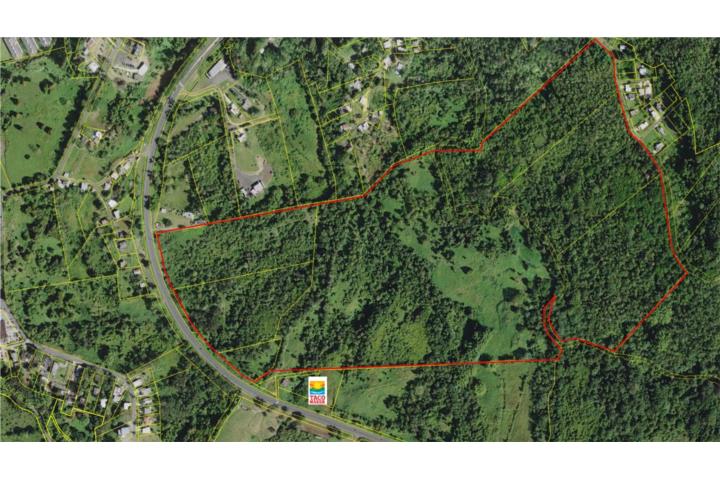 Morovis Plaza Shopping Center Puerto Rico, Venta Bienes Raíces Morovis ...