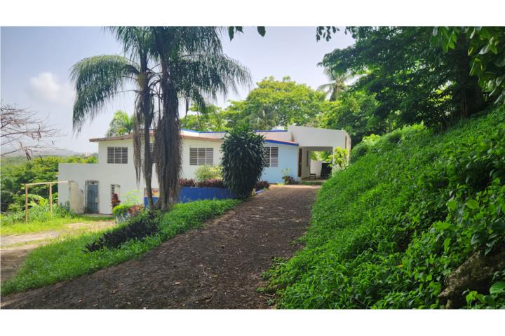 Rio Piedras Puerto Rico, Bienes Raices Rio Piedras Real Estate San Juan ...