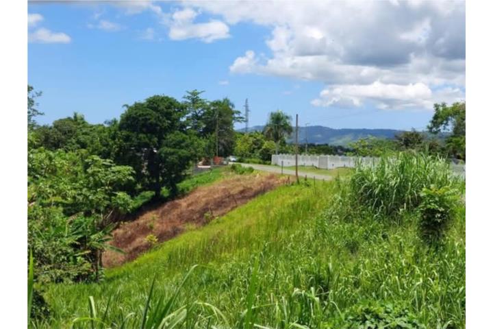 Casey Puerto Rico, Venta Bienes Raíces Añasco Puerto Rico, Real Estate ...