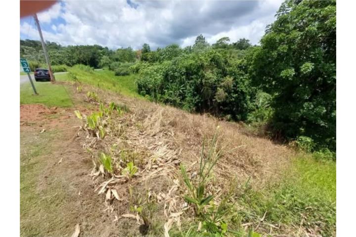 SOLD, Vendido Casey Puerto Rico, Venta Bienes Raíces Añasco Puerto Rico ...