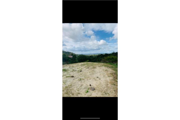 Quebrada Arenas Puerto Rico, Venta Bienes Raíces San Lorenzo Puerto ...